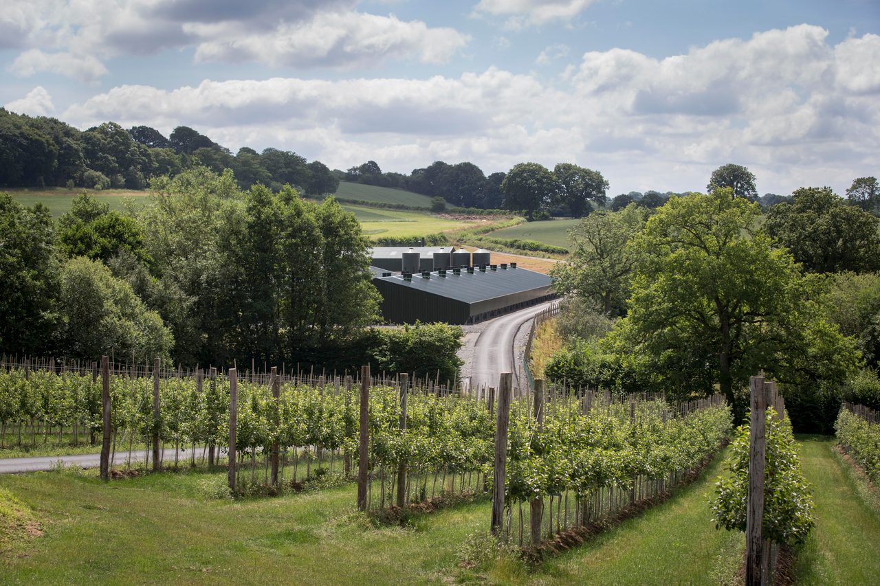 In photos: Inside a UK megafarm | TBIJ